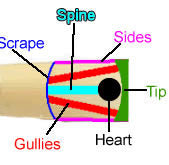 How to Adjust Oboe Reeds - PDF Download — Crook and Staple